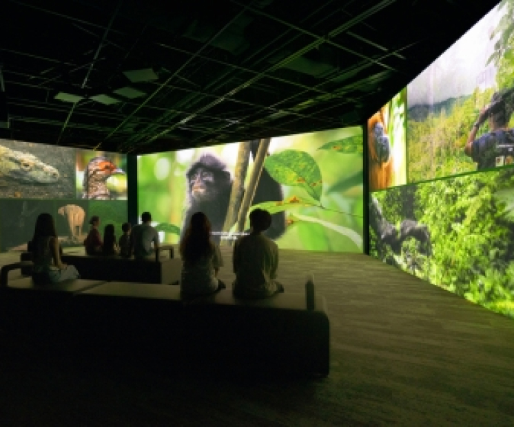 Mandai Wildlife Reserve | Bird Paradise, Zoo & River Wonders