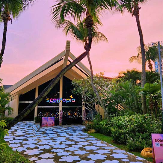 Explore Sentosa Island | Top Attractions & Things to Do