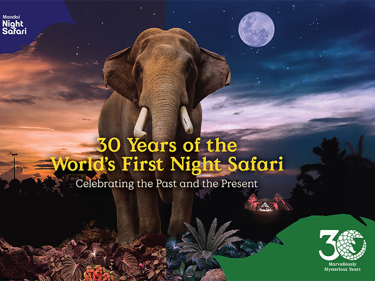 What's Happening in Singapore | Festivals & Events